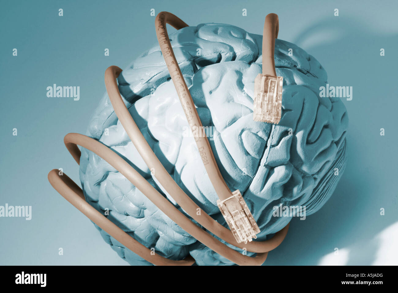Electrical cable brain hi-res stock photography and images - Alamy