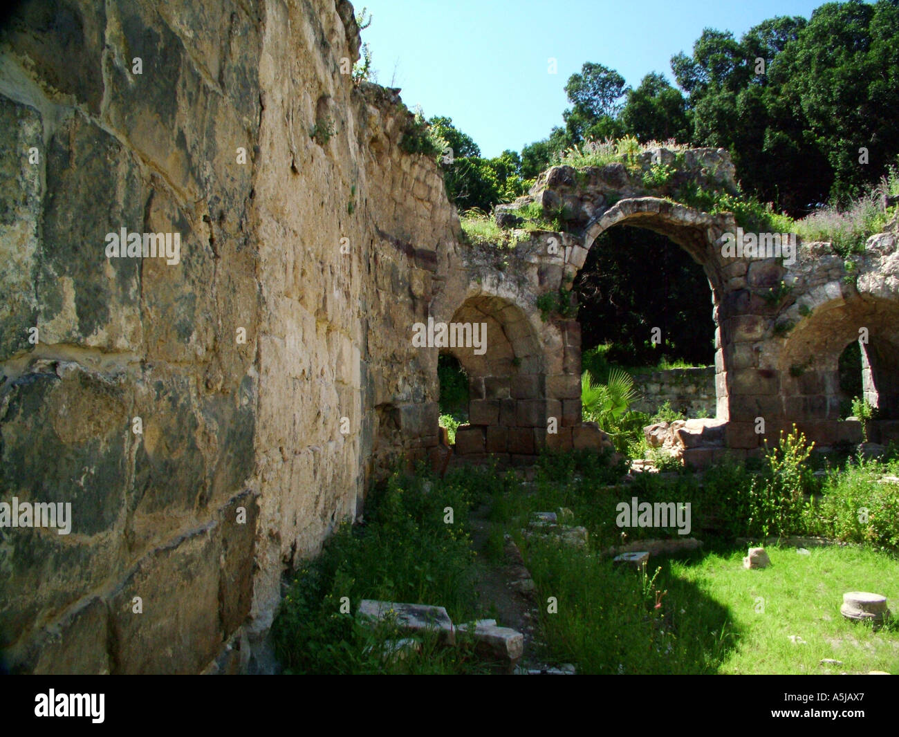 Roman ruins at Hamat Gader Israel Stock Photo - Alamy