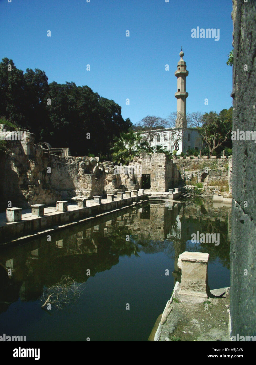 Roman ruins at Hamat Gader Israel Stock Photo - Alamy