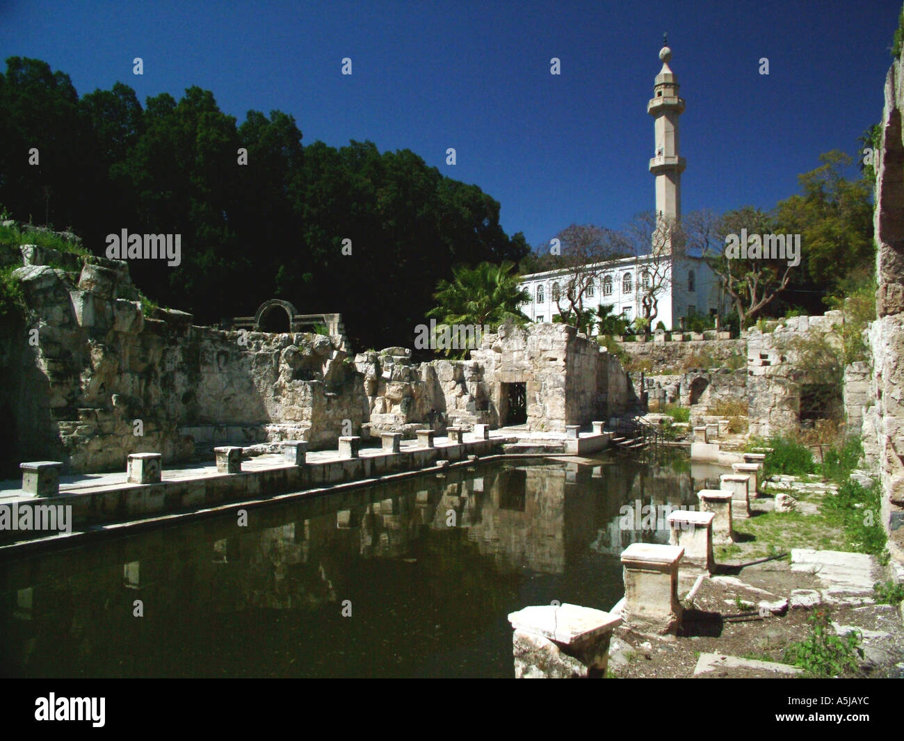 Roman ruins at Hamat Gader Israel Stock Photo - Alamy