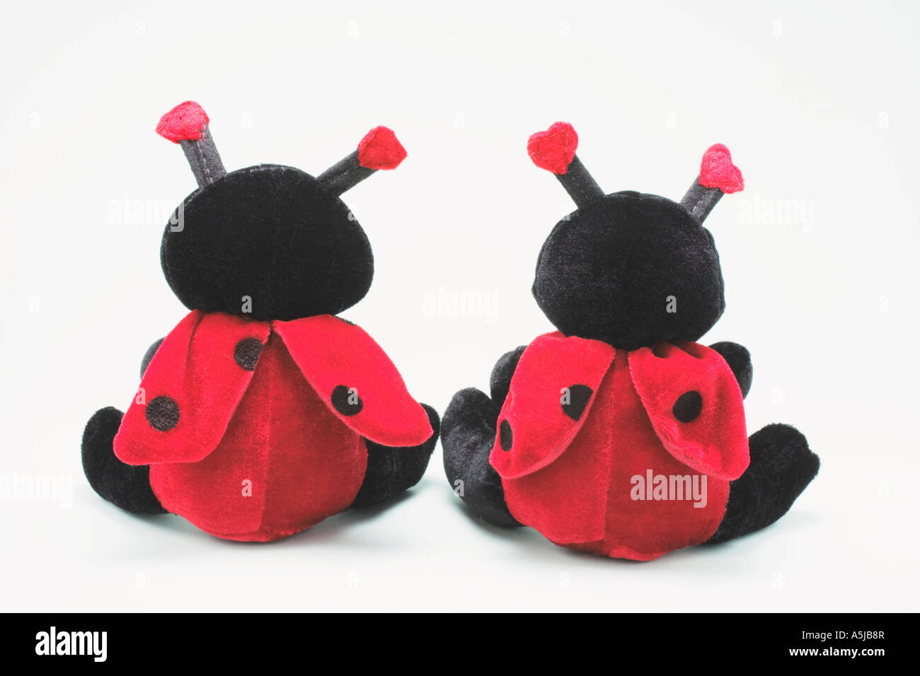 Love Bugs High Resolution Stock Photography and Images - Alamy