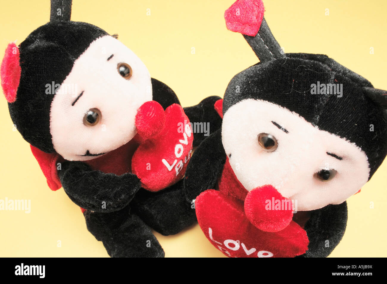 Love Bugs Soft Toy Stock Photo - Alamy