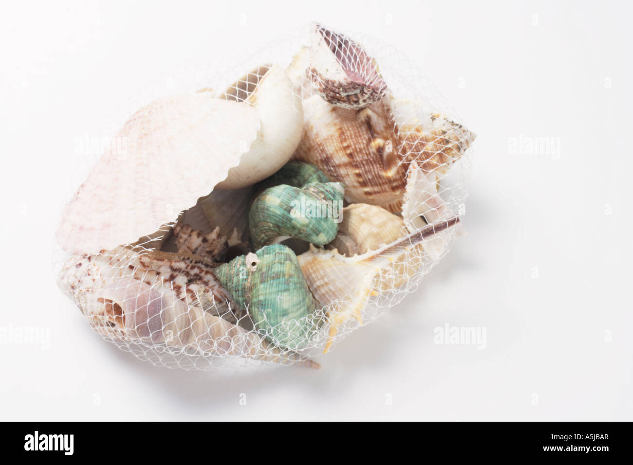 Seashells in Fish Net Sachet Stock Photo - Alamy