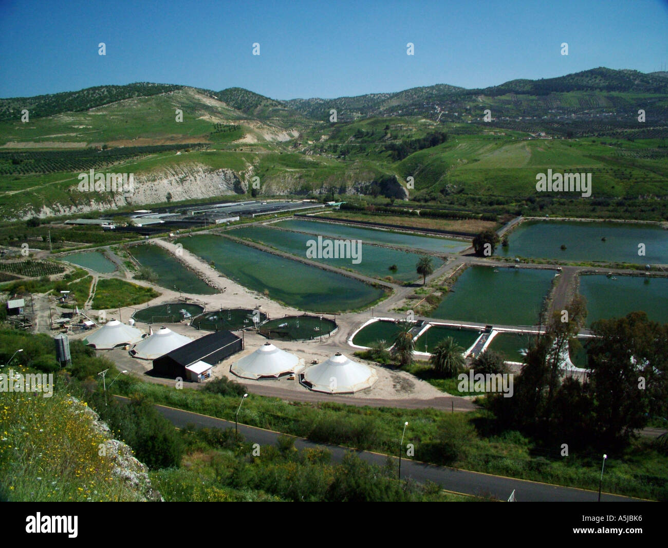 Hamat Gader is located in the Yarmuk Valley on the eastern shore of the ...