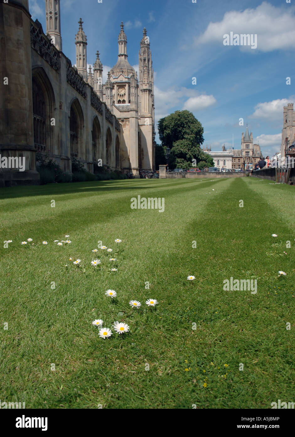 Entrance to Kings College on Kings Parade, Cambridge with spring daisy ...