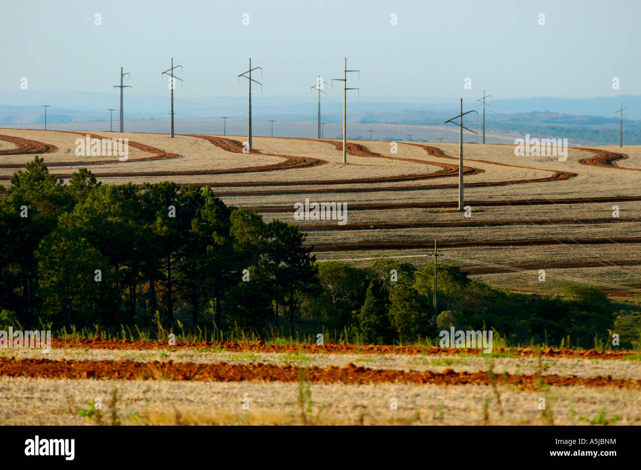 Brazil agriculture landscape hi-res stock photography and images - Alamy