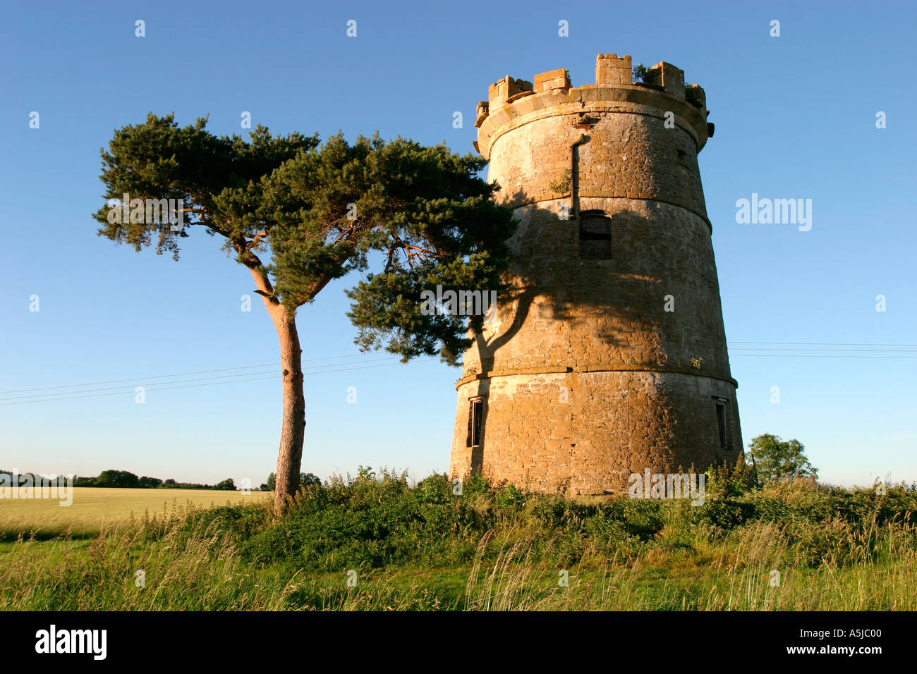 Derelict windmill with cedar tree and power lines Stock Photo - Alamy