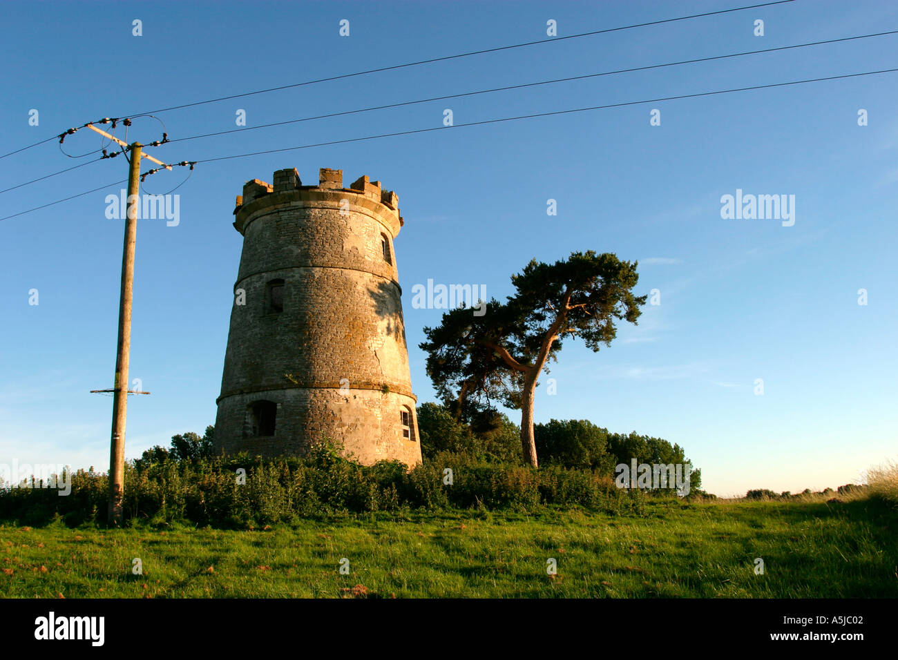 Cedar tree tower hi-res stock photography and images - Alamy