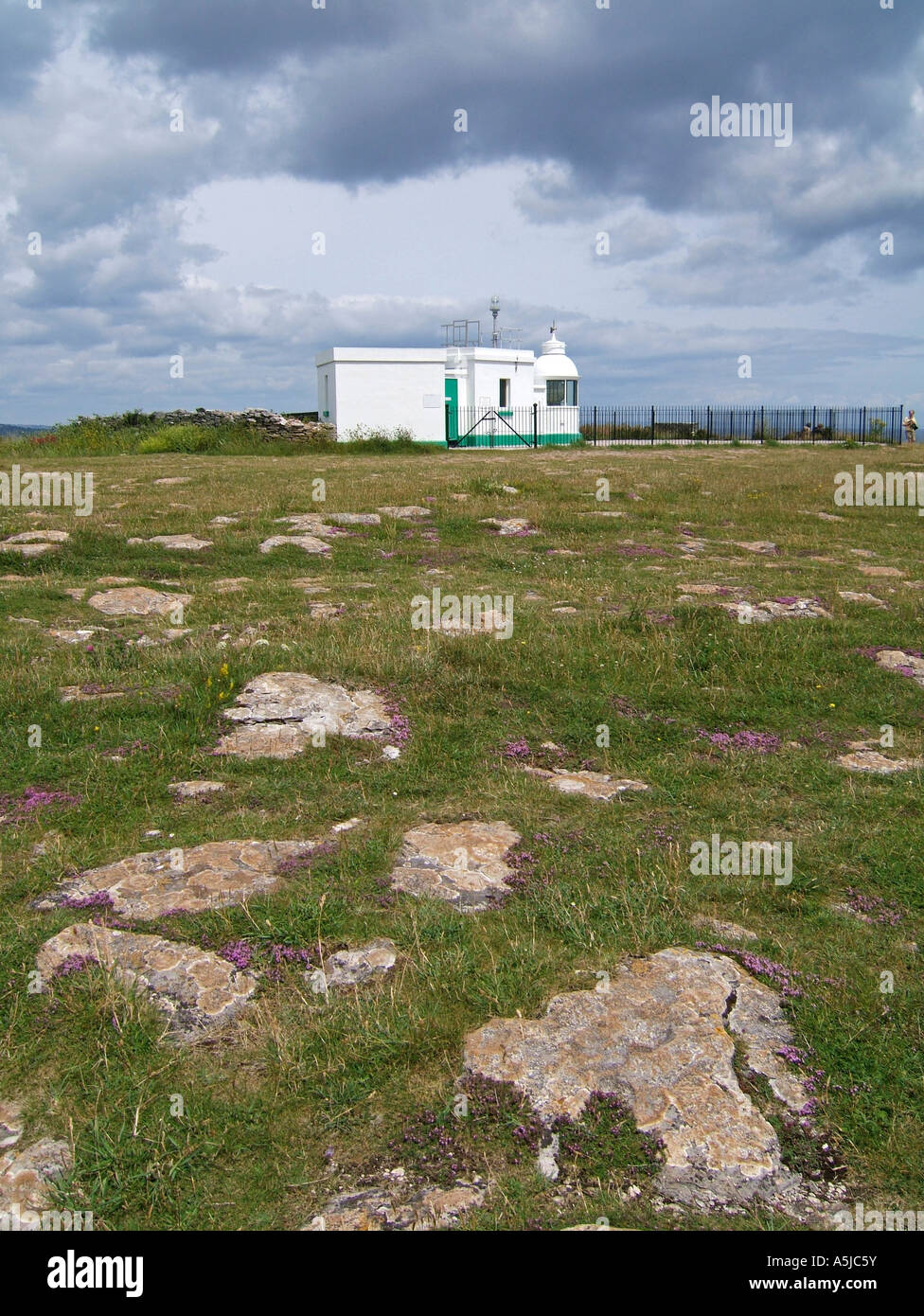 Berry Head lighthouse, Brixham, Devon, England, UK Stock Photo - Alamy