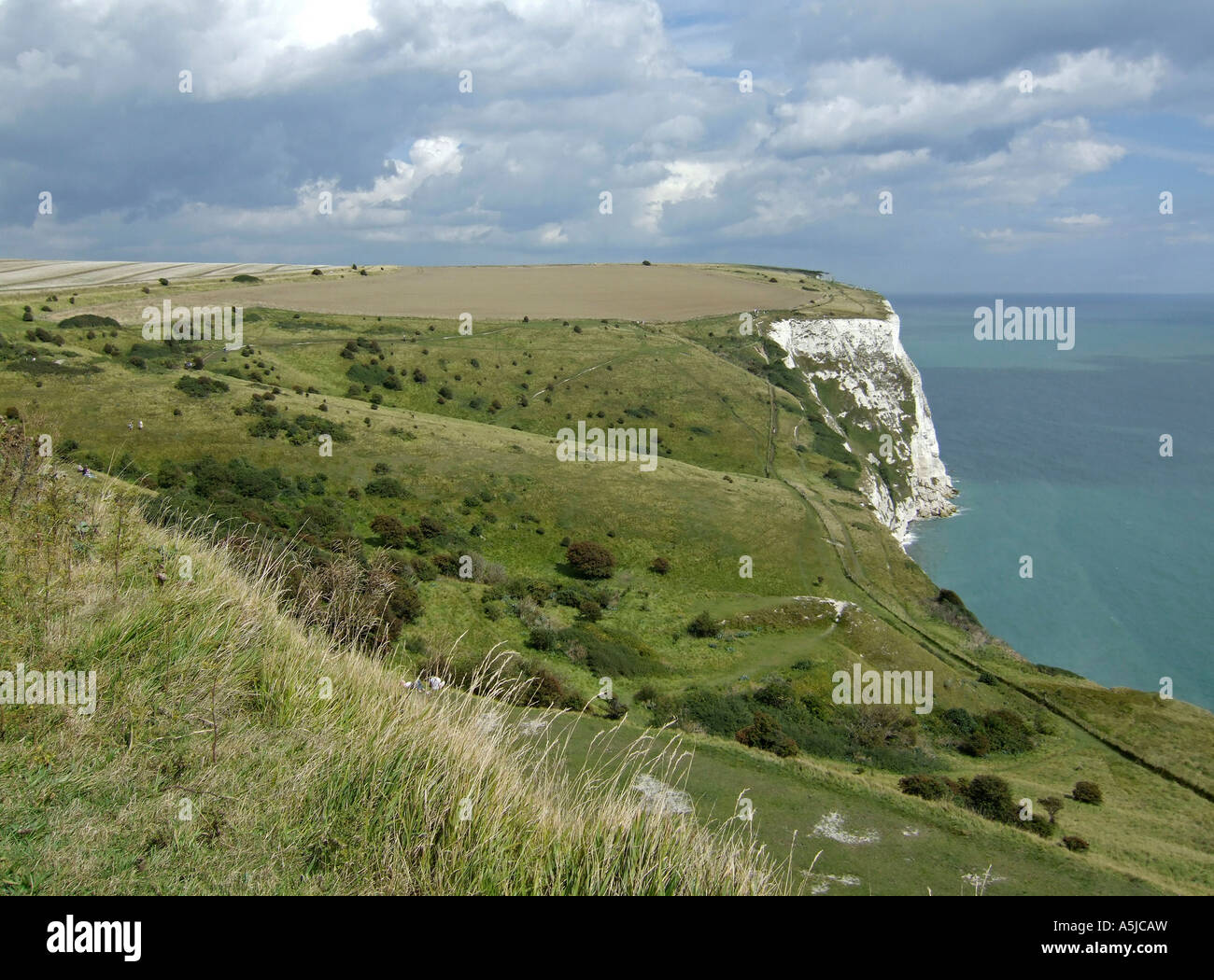 Above the white cliffs of Dover, Kent, England, UK Stock Photo - Alamy
