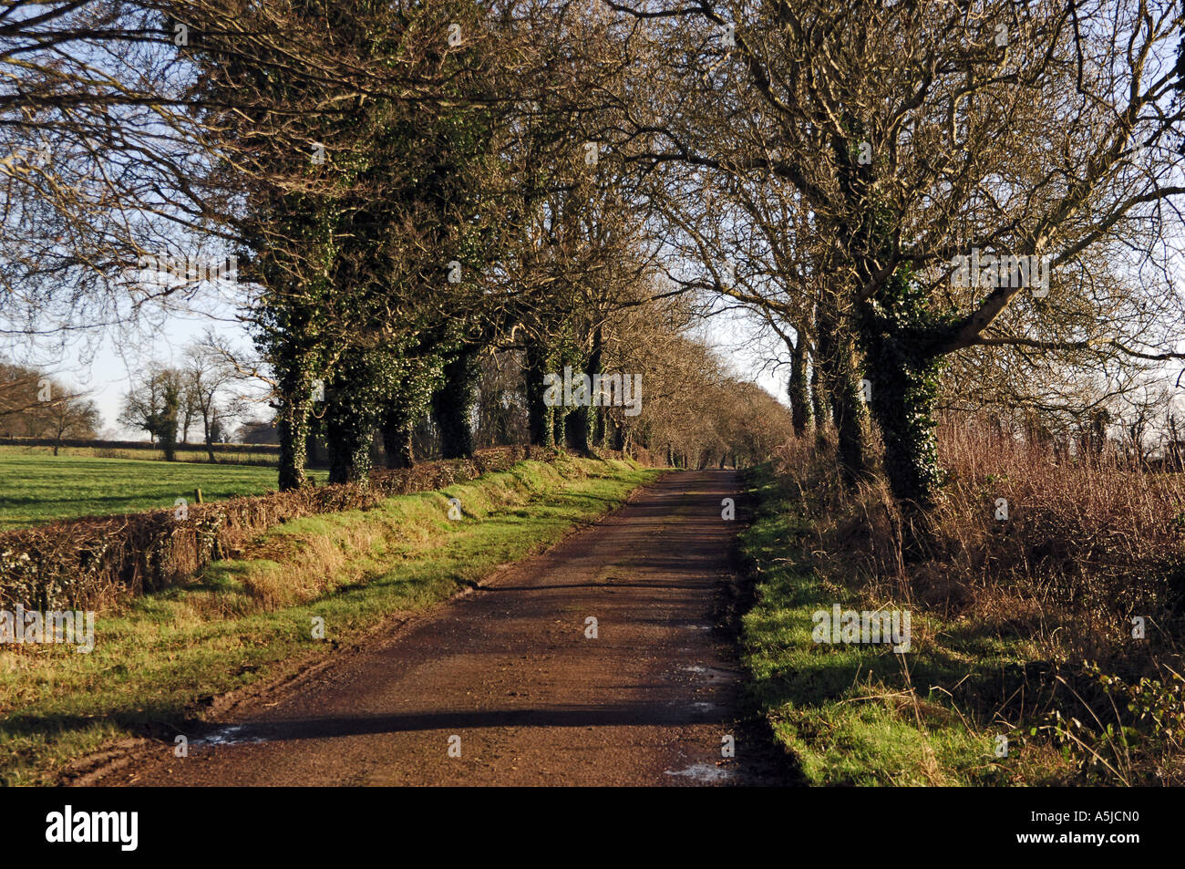 Wilkinstown hi-res stock photography and images - Alamy