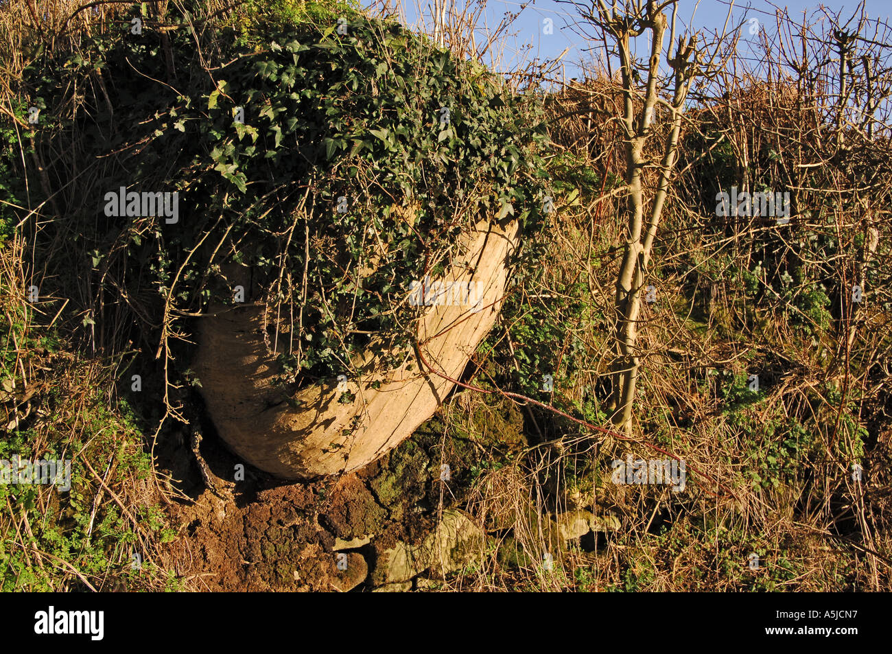 Wilkinstown hi-res stock photography and images - Alamy