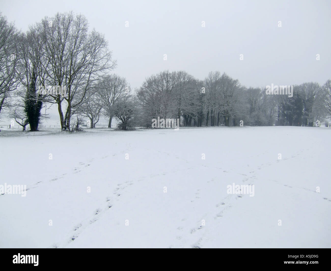 Snow at Epsom Downs, Surrey, England, UK Stock Photo - Alamy