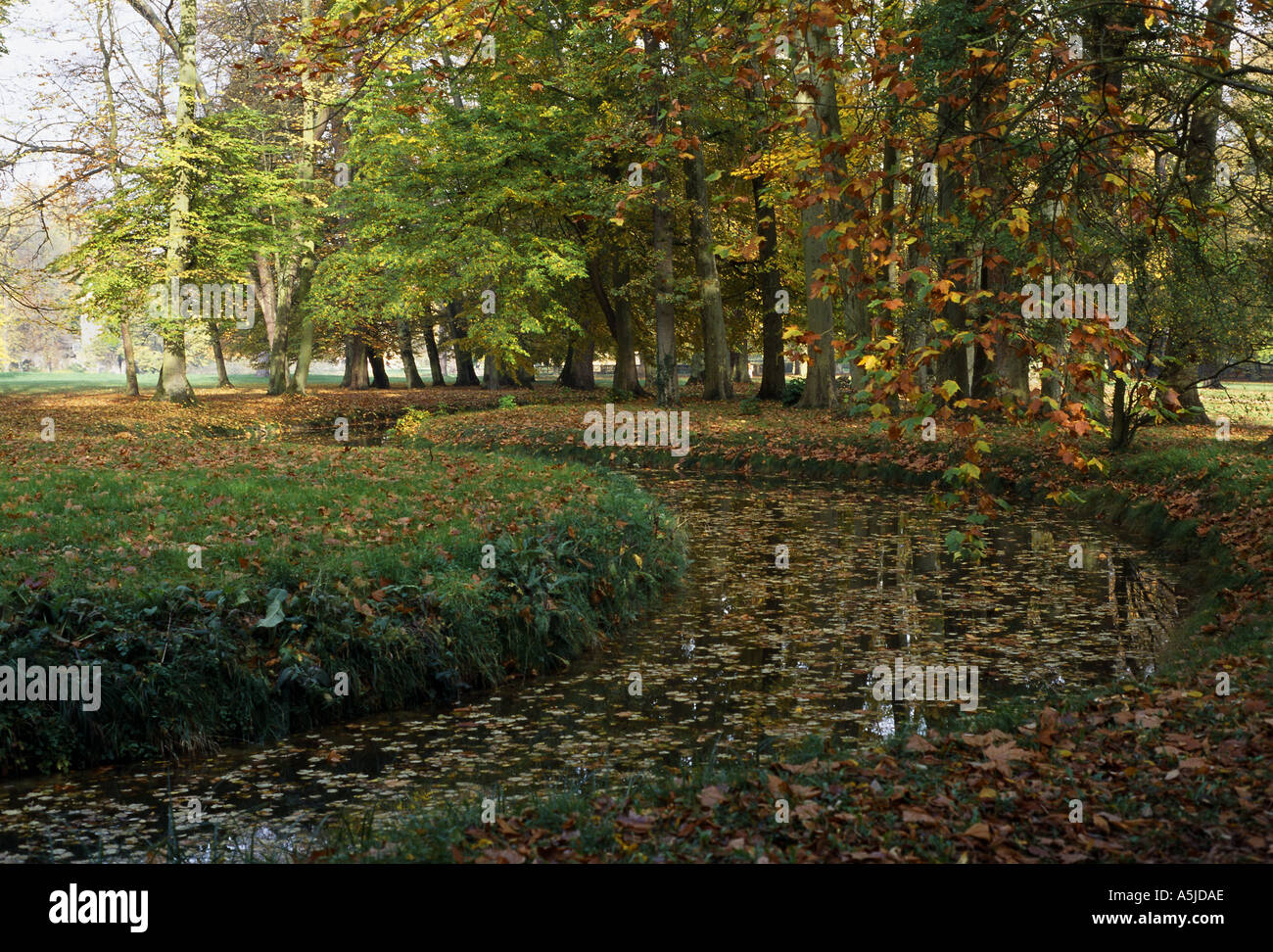 Fall landscape from Versailles France Stock Photo - Alamy