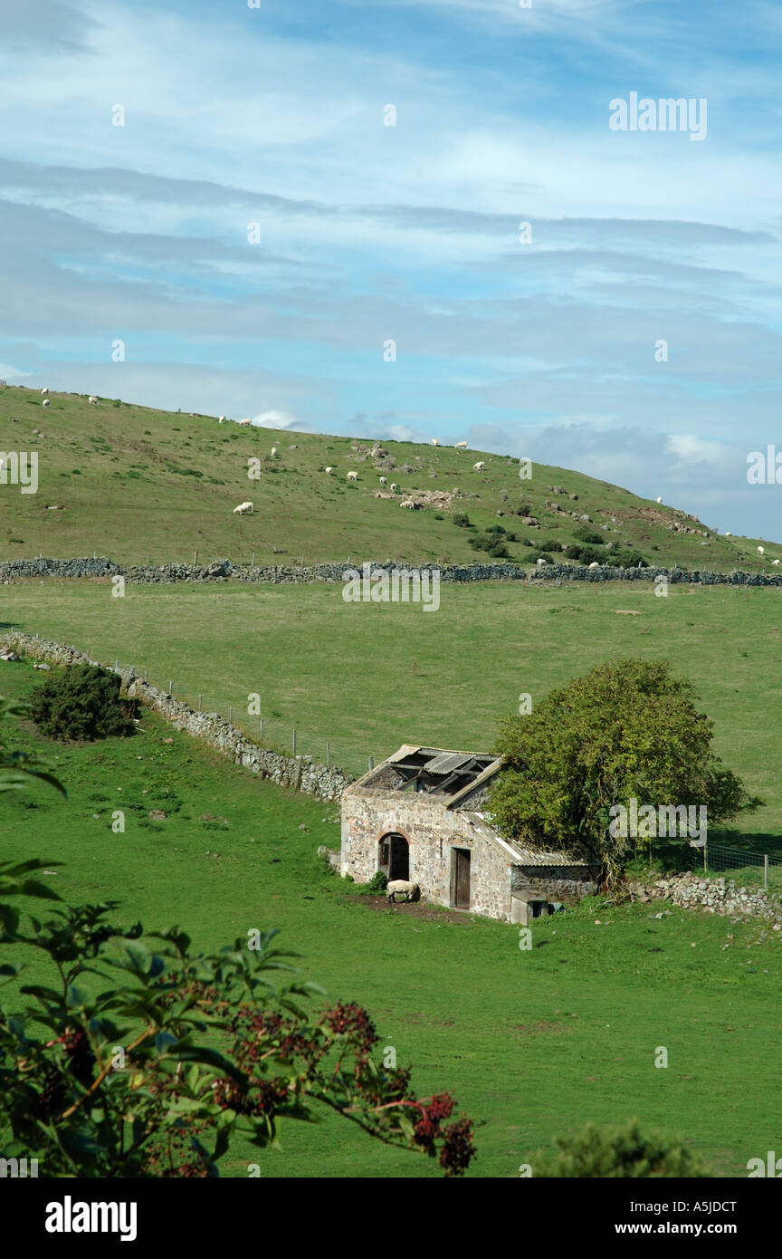 Ruined field hi-res stock photography and images - Alamy