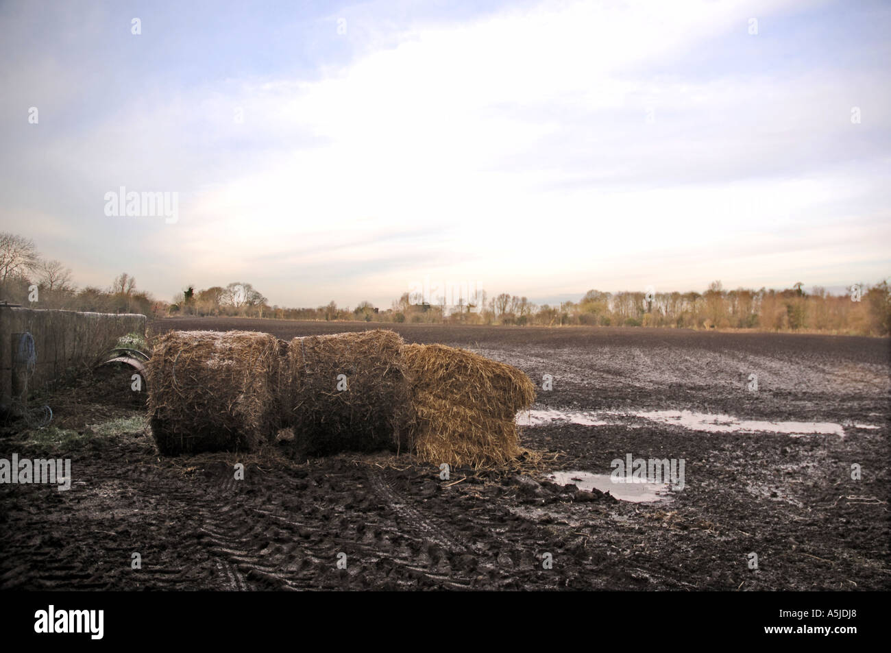 Wilkinstown hi-res stock photography and images - Alamy