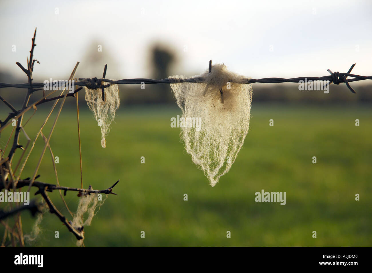 Wilkinstown hi-res stock photography and images - Alamy