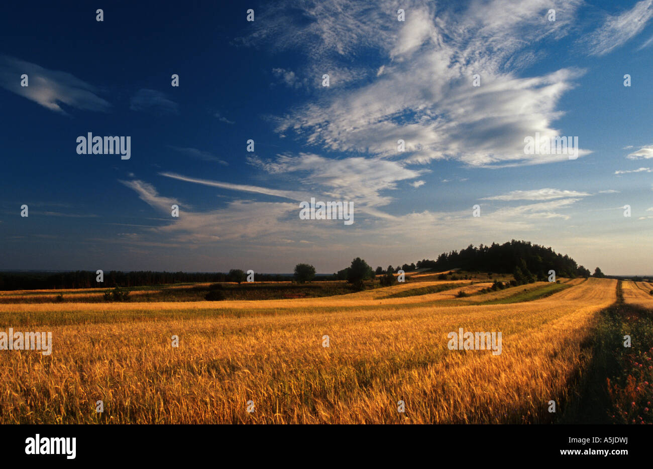 Roztocze region in south east Poland Stock Photo - Alamy