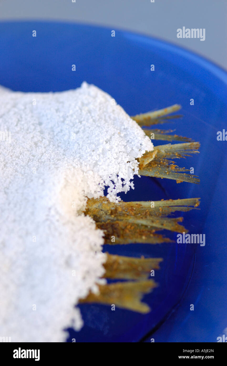 The cooked cassava root known as tapioca in northeastern Brazil stuffed ...