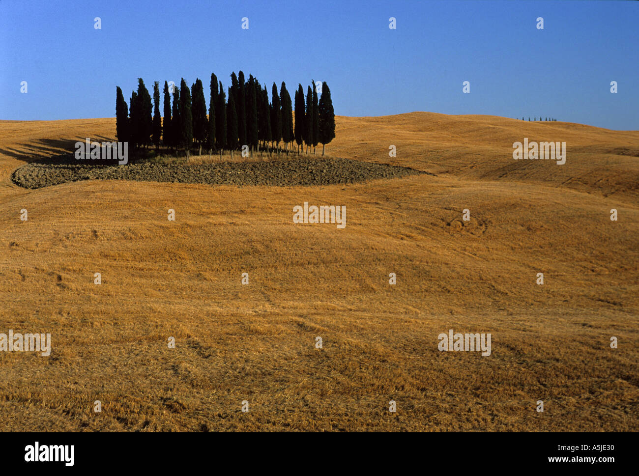Iconic landscape in Tuscany Stock Photo - Alamy