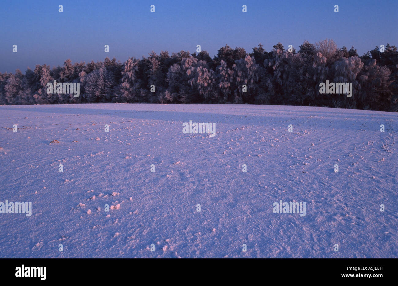 Roztocze region in south east Poland Stock Photo - Alamy