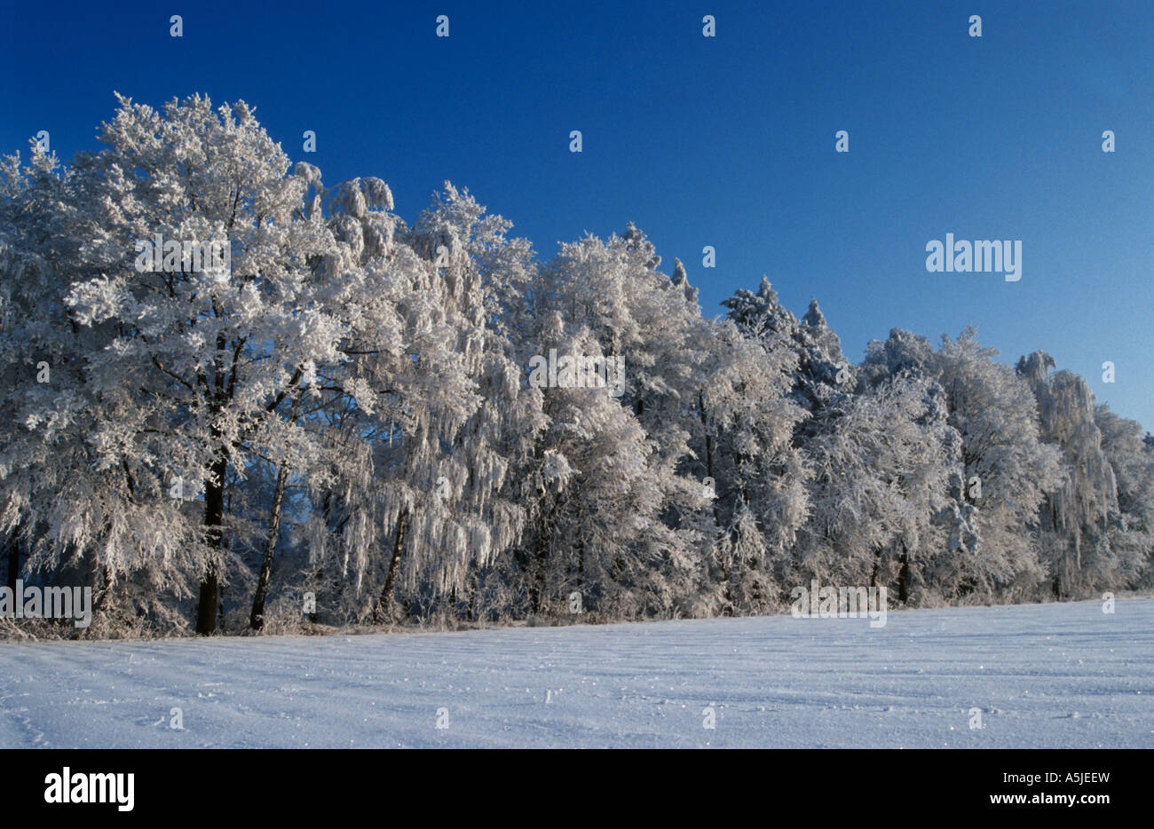 Roztocze region in south east Poland Stock Photo - Alamy