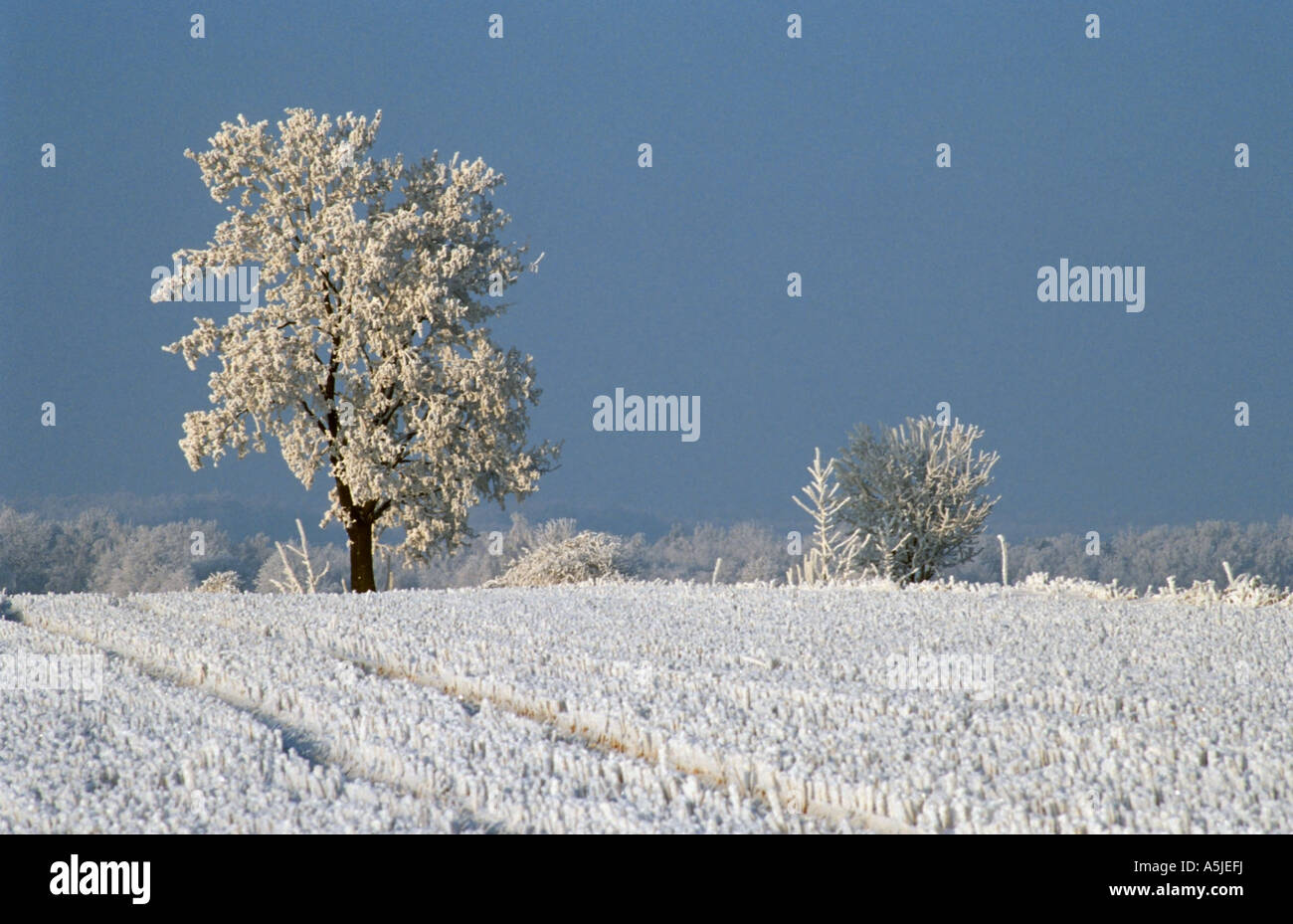 Roztocze region in south east Poland Stock Photo - Alamy