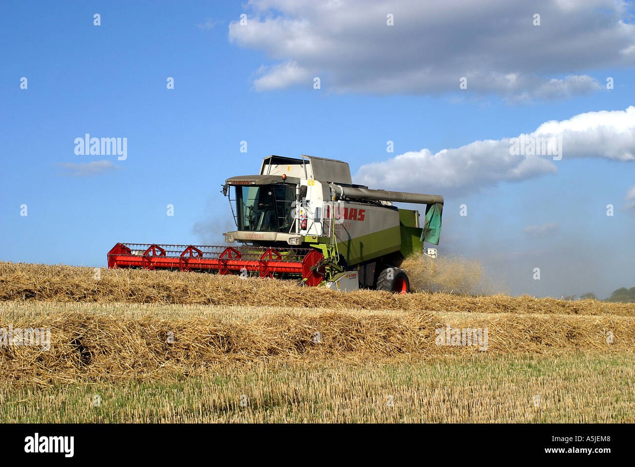 combine harvester in wheat field Stock Photo - Alamy