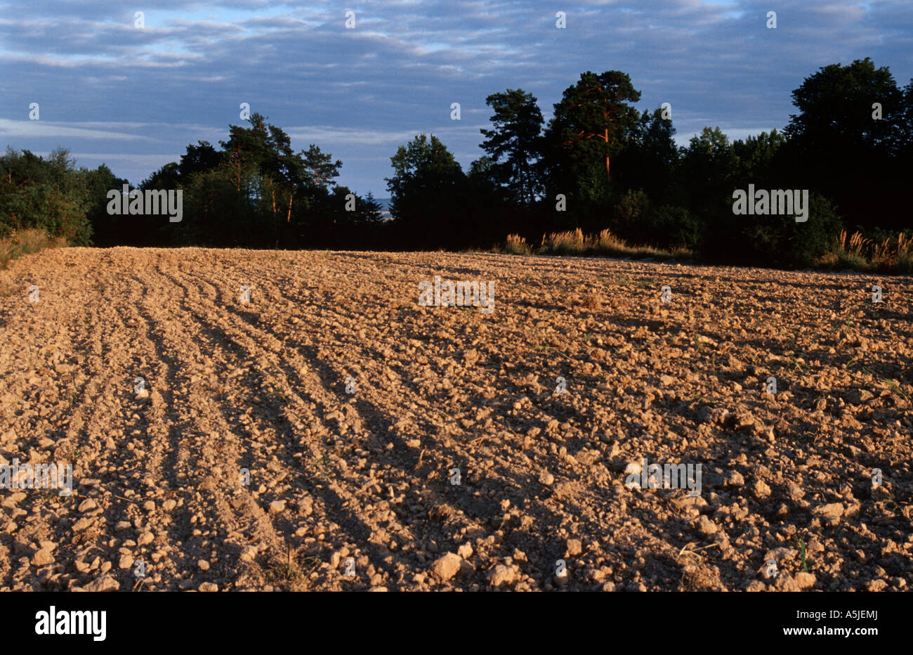 Roztocze region in south east Poland Stock Photo - Alamy