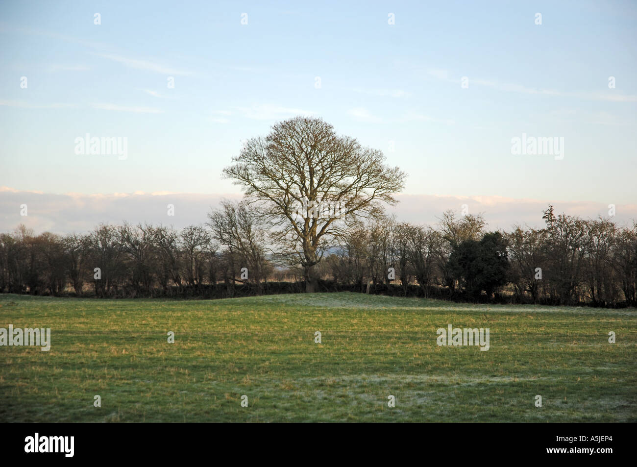 Wilkinstown hi-res stock photography and images - Alamy