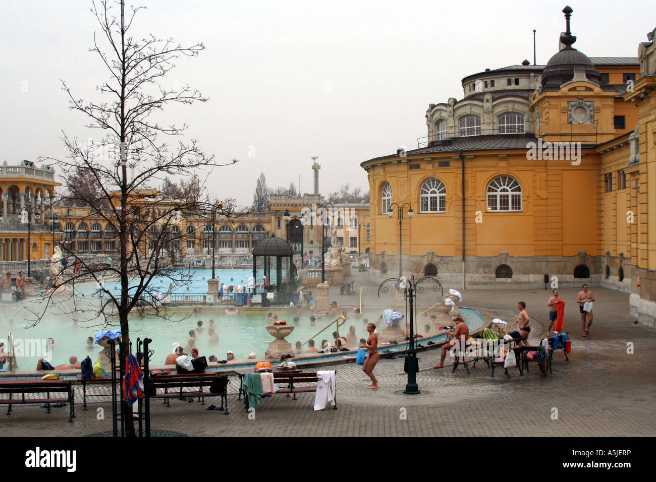 Turkish Bath/ Thermal Spa, Szechenyi Baths, Budapest Stock Photo - Alamy