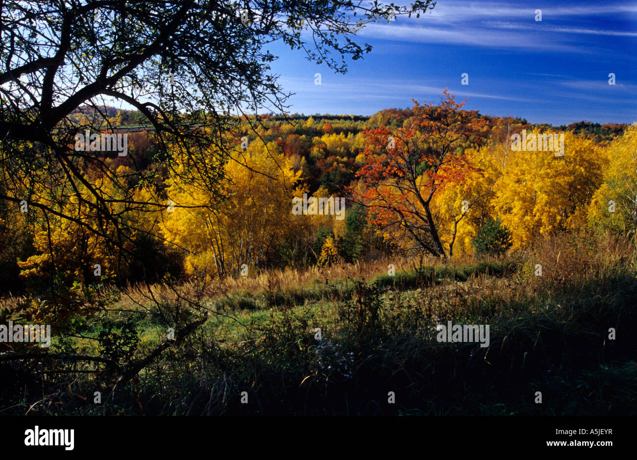 Roztocze region in south east Poland Stock Photo - Alamy