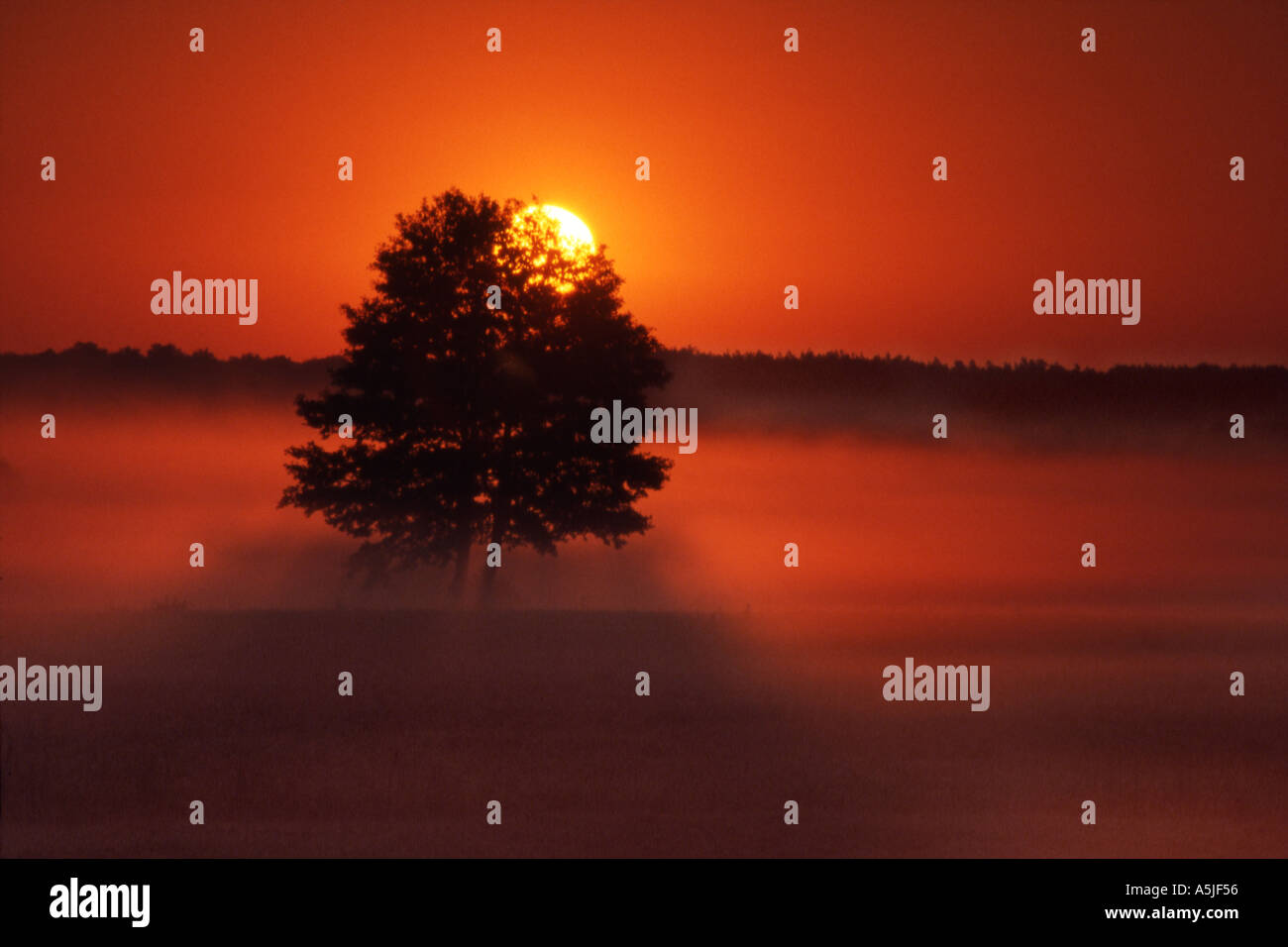Rising sun flare hi-res stock photography and images - Alamy