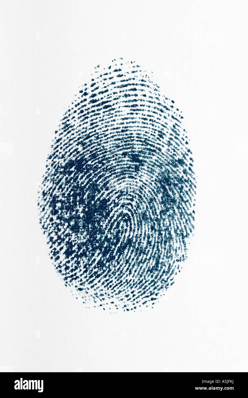 Fingerprint taken from a human thumb on white background Stock Photo ...