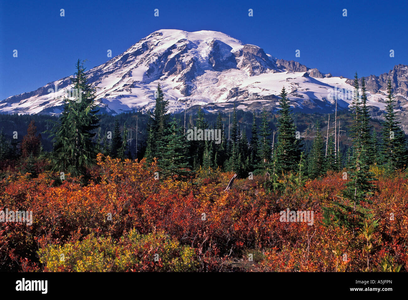 Bench lake mount rainier hi-res stock photography and images - Alamy