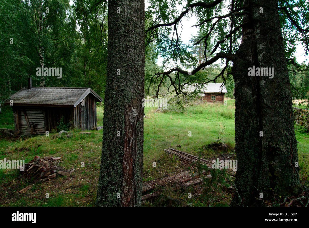 old block cottage barn sauna in middle Finland Stock Photo - Alamy