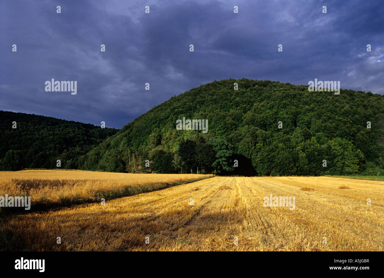 Roztocze Region in South East Poland Stock Photo - Alamy