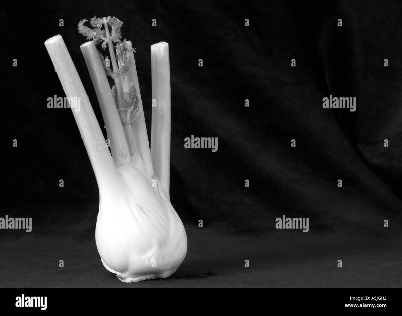 Bulbous fennel hi-res stock photography and images - Alamy