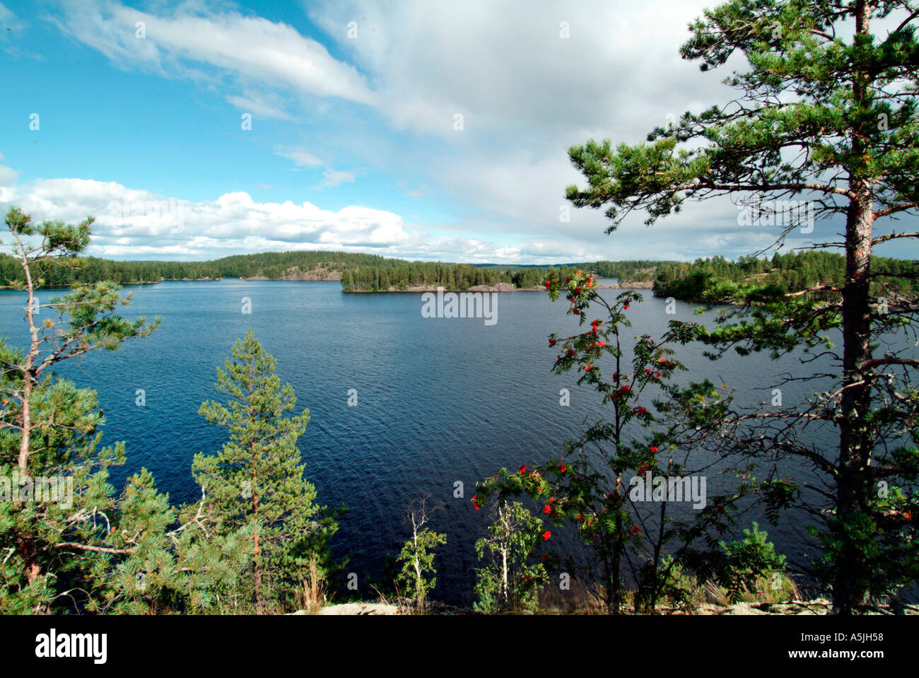landscape with lakes and forest in the region Saimaa in Finland Stock ...