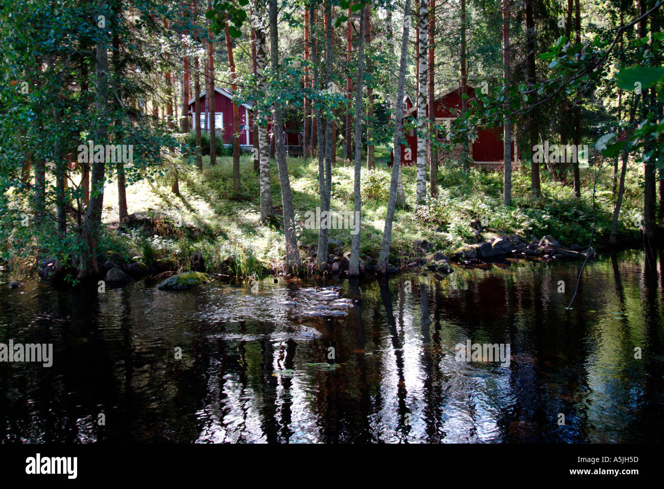lakefront of the lake Saimaa in Puumala Sahanlahti Finland Stock Photo ...