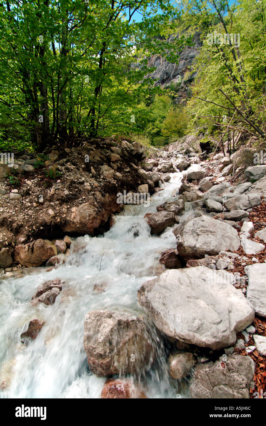 in the source of the river Savinja in the valley Logarska dolina in ...