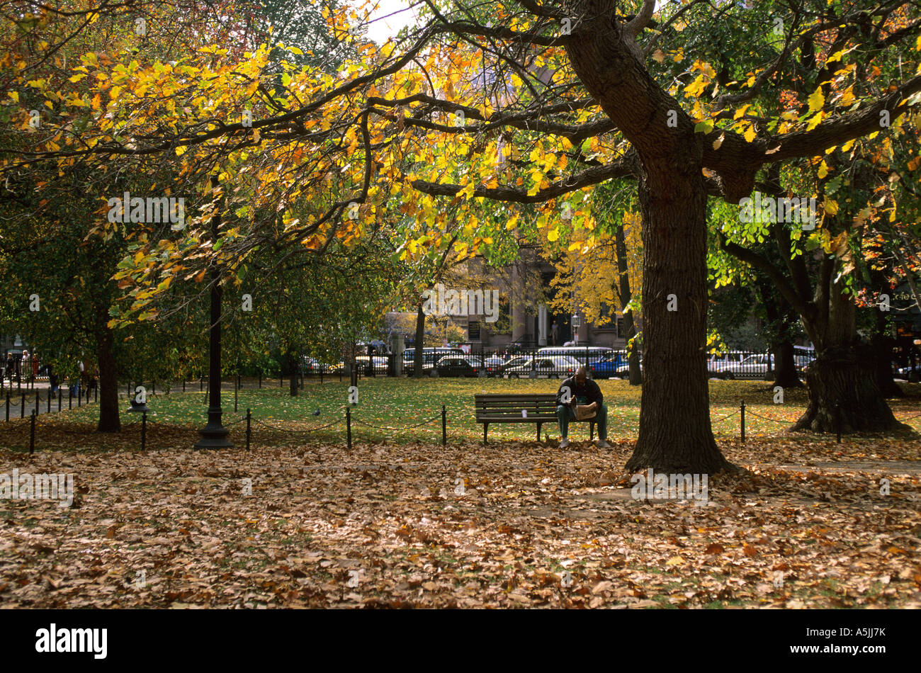 Fall colors in Boston, Massachusetts, USA Stock Photo - Alamy