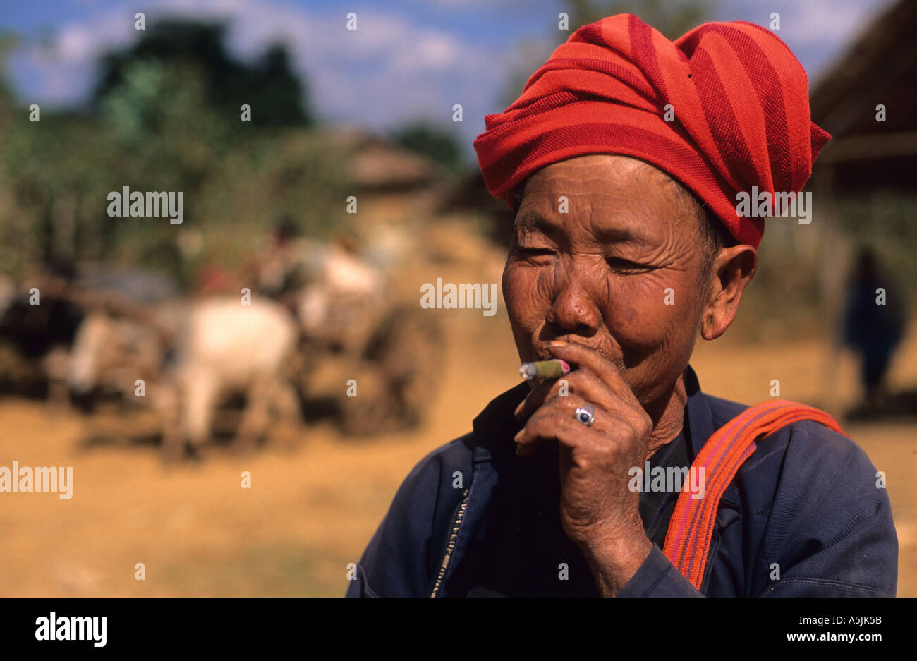 Ethnic Pao woman smoking cheroot, Inle Lake, Burma Myanmar Stock Photo ...