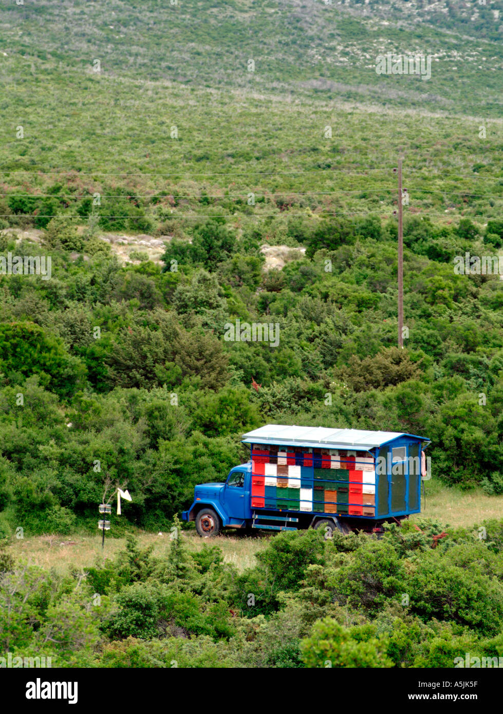 mobile beehive lorry with beehive in the nature in Dalmatia Croatia ...