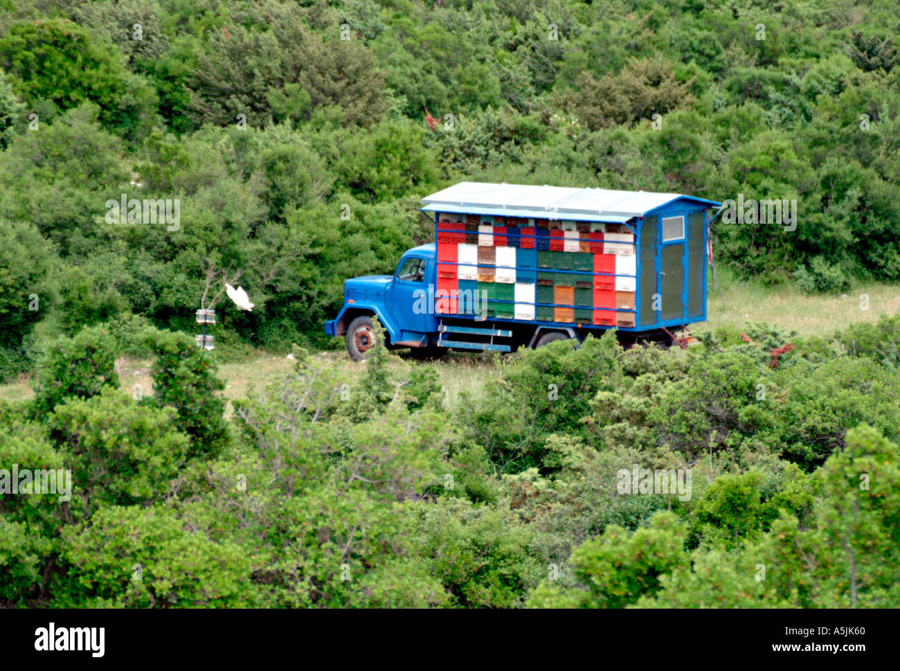 Beehive truck hi-res stock photography and images - Alamy