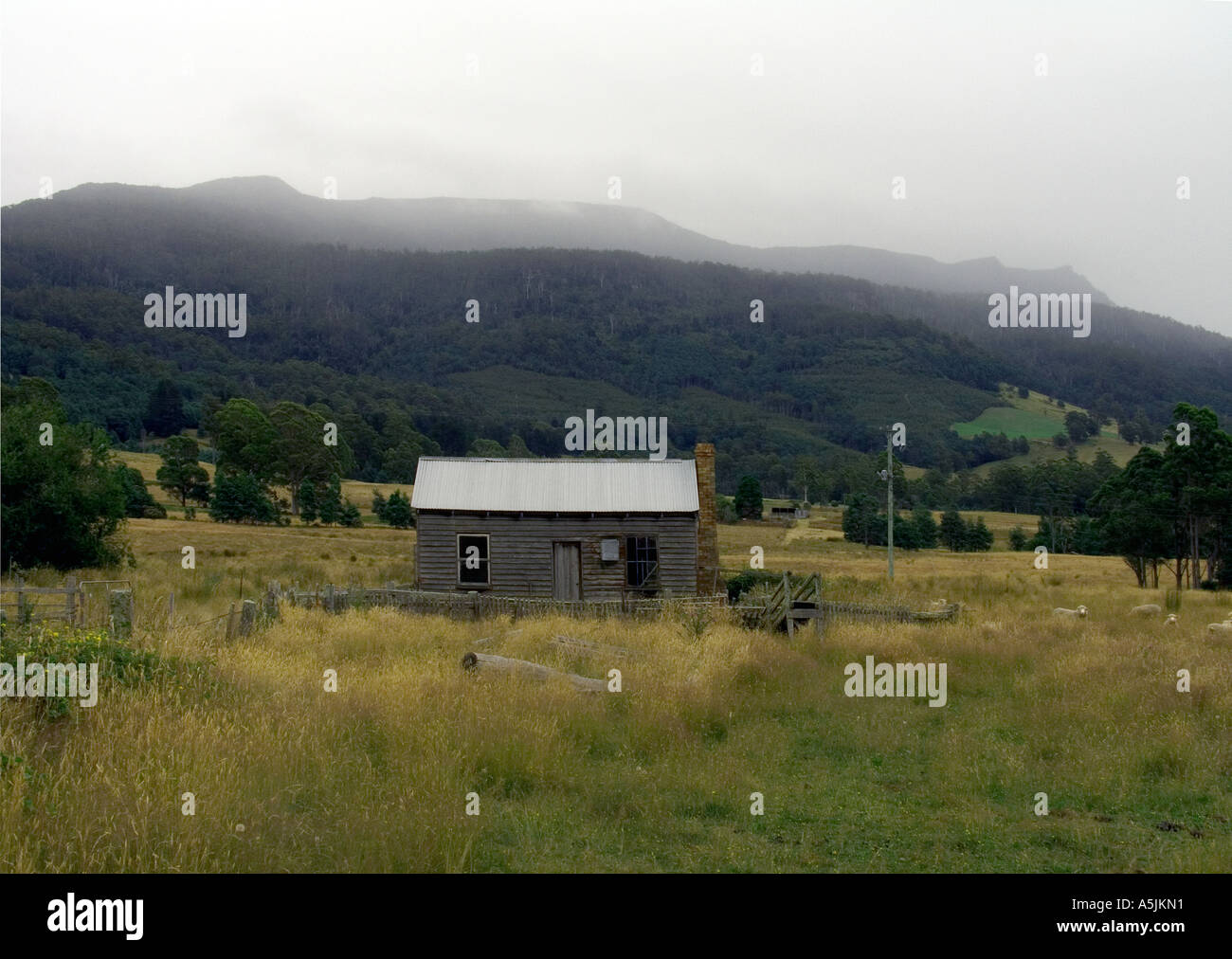 Shack Stock Photo - Alamy