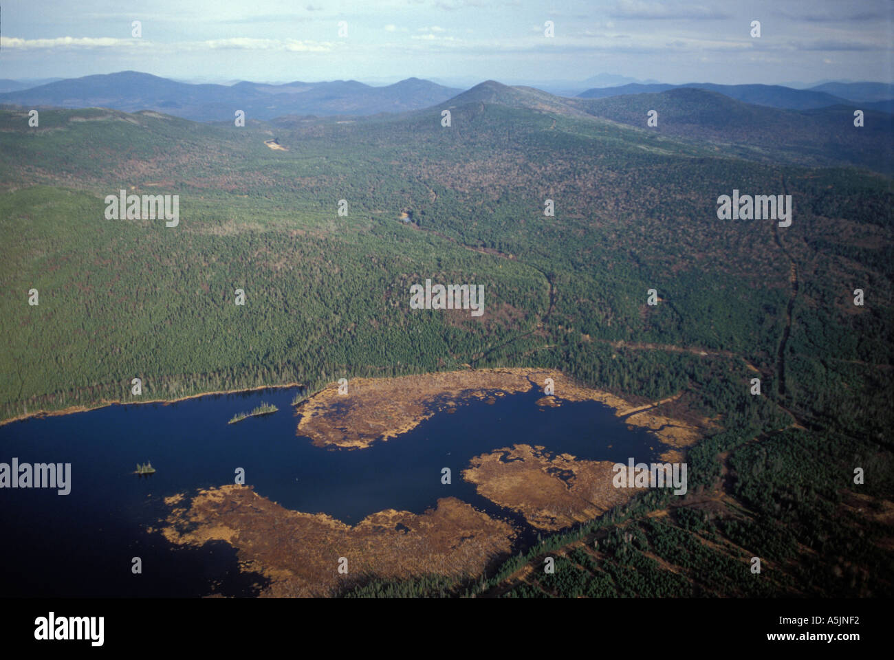 Boundary Mountains ME An aerial view of the Northern Forest near the ...