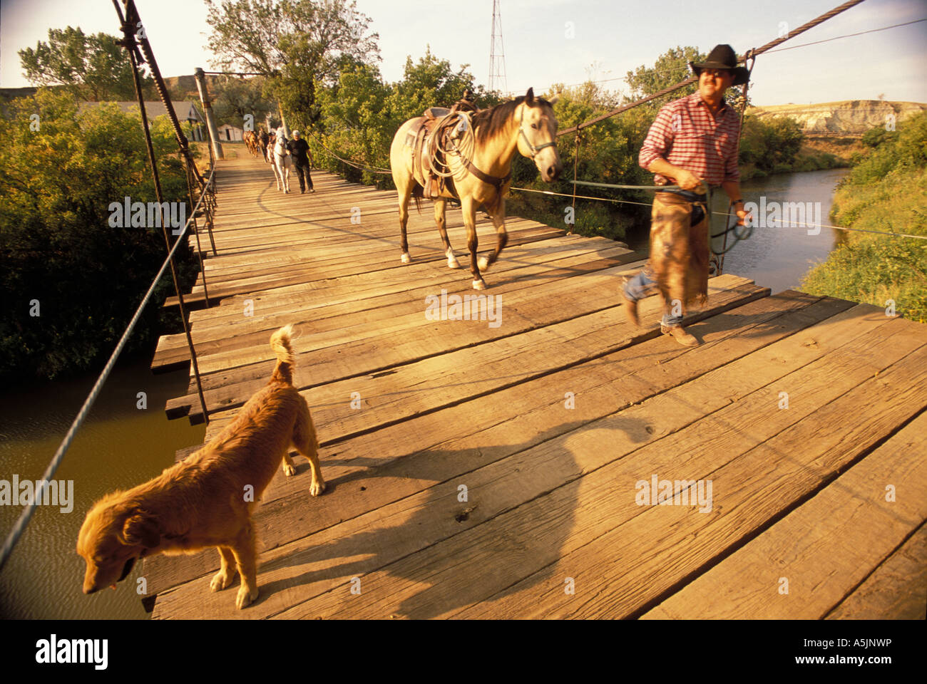 Cowboy crossing the knife river with horses at a Dude Ranch Knife River ...