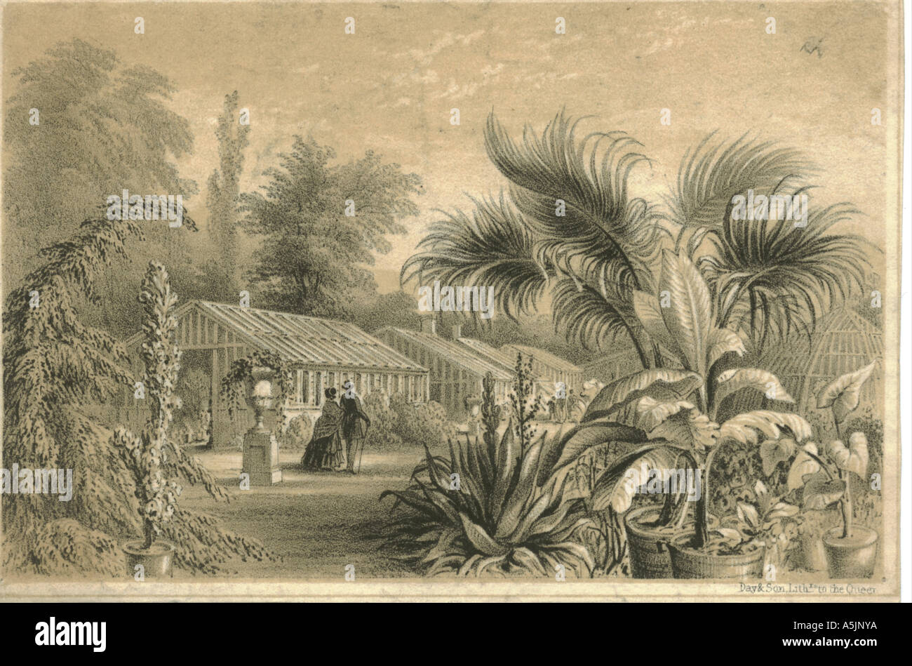 Garden with glasshouses circa 1855 Stock Photo - Alamy