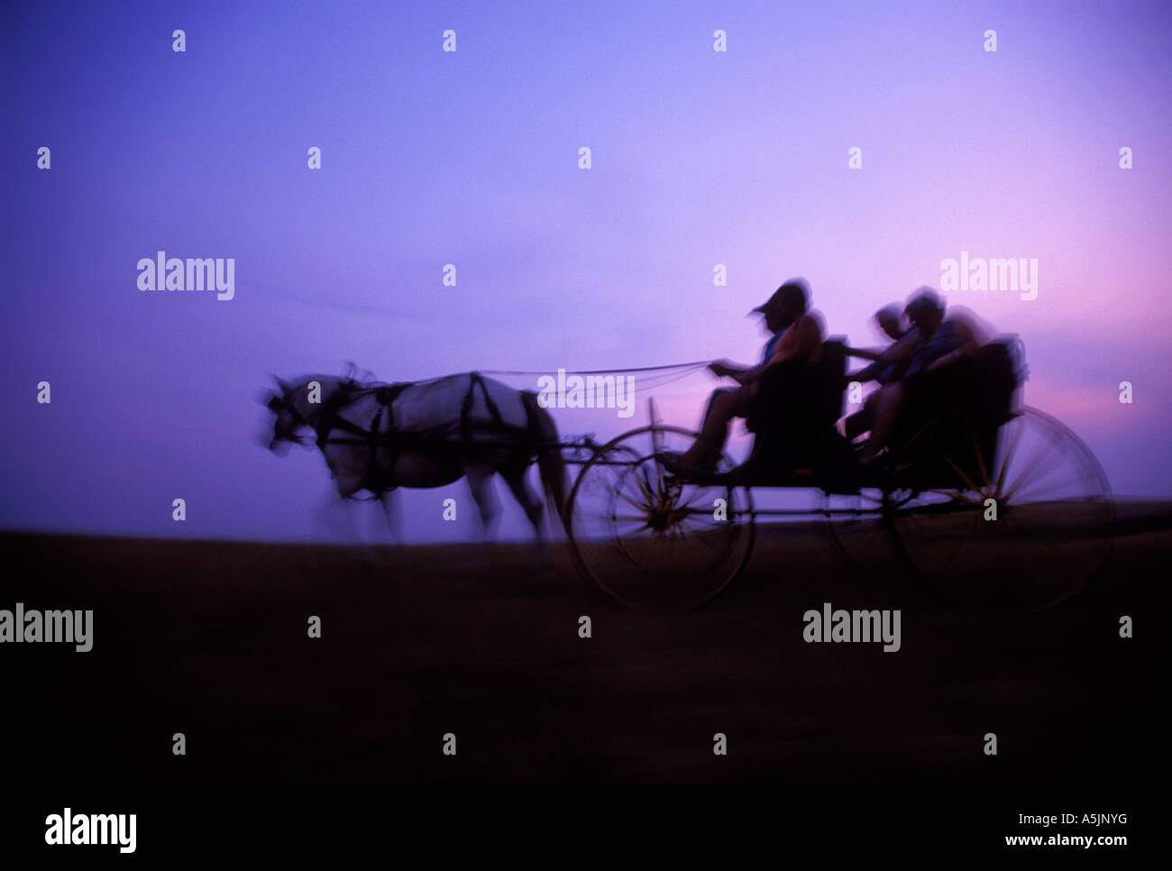 Tourists going for a buggy ride at a Dude Ranch Knife River Ranch North ...